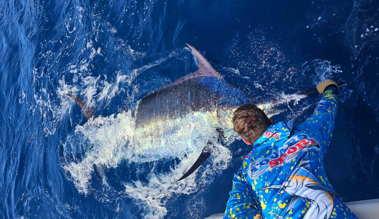 Blue marlin fishing: an exciting challenge - Asso Fishing Line